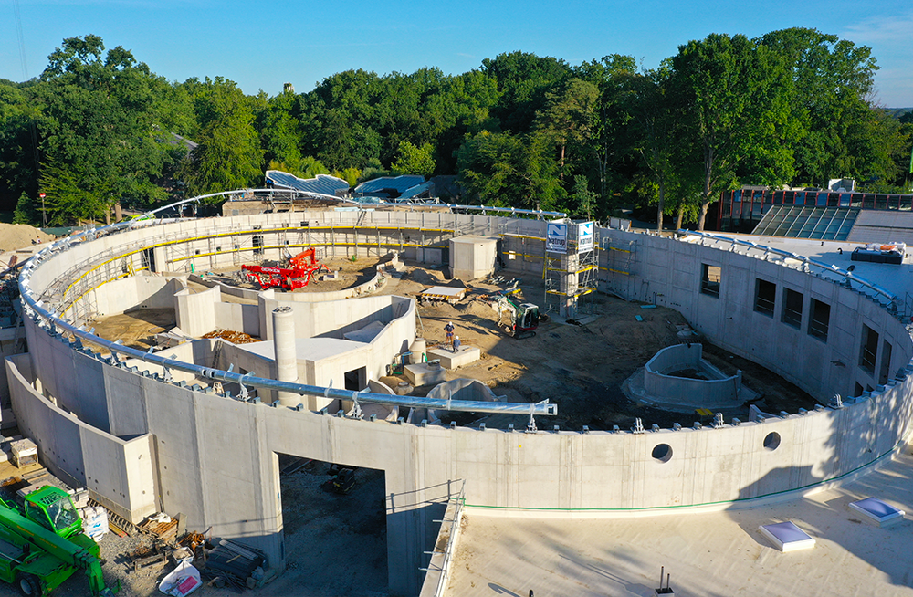 First choice for construction of new tropical hall | PASCHAL